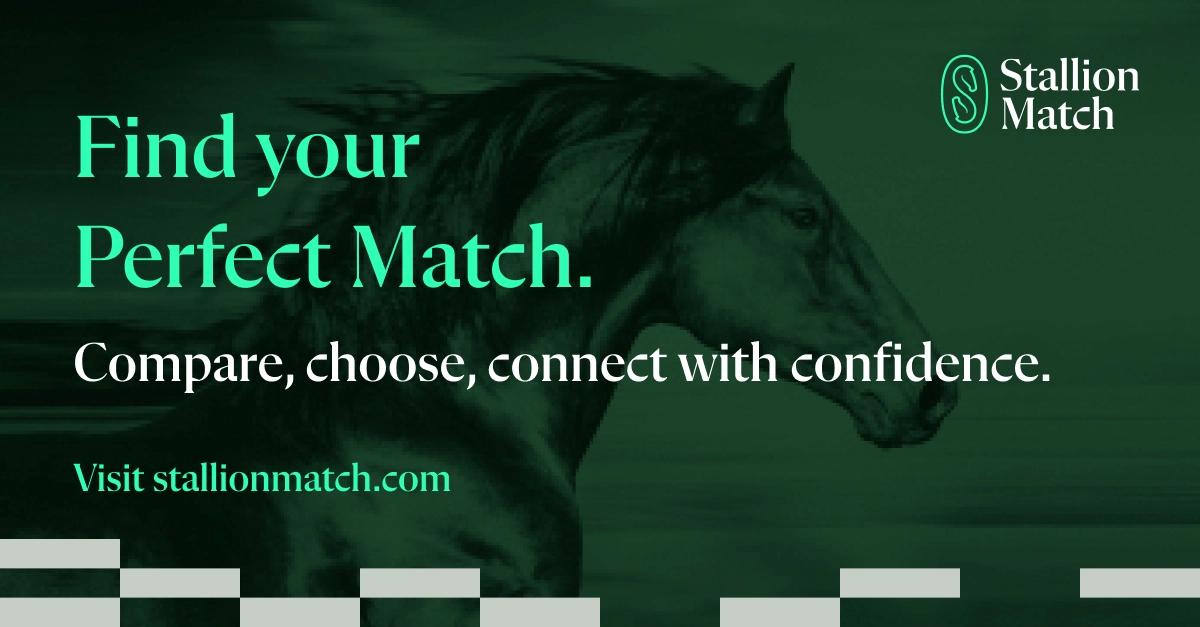 Stallion Match