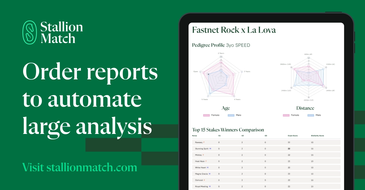 Stallion Match